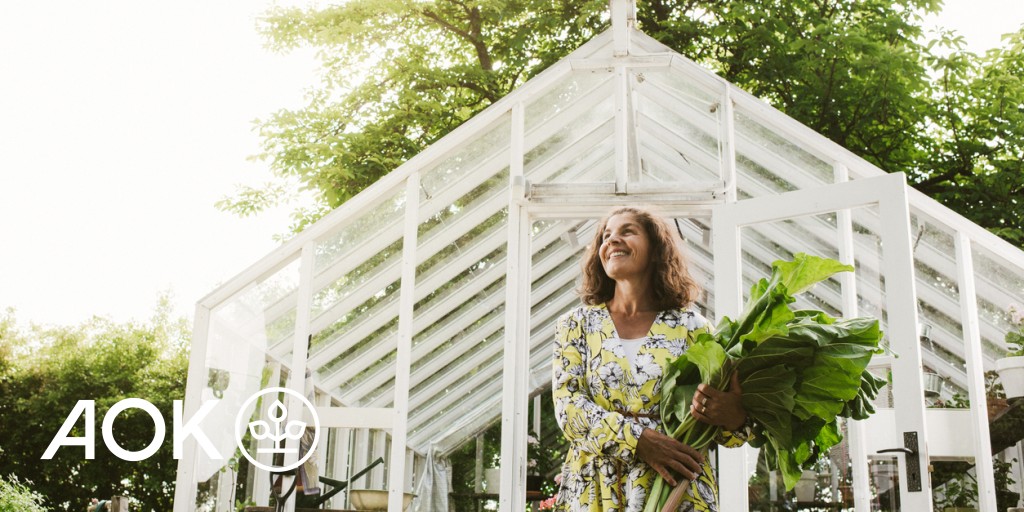 Rhabarber – gesund, regional, lecker | AOK Sachsen-Anhalt